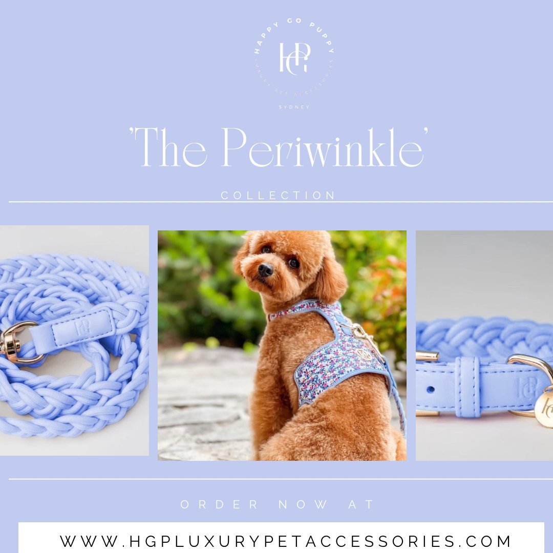The ‘Periwinkle’ Collection – HGP Luxury Pet Accessories